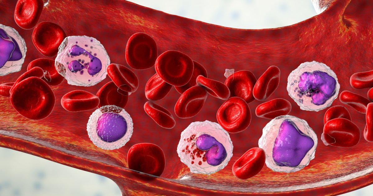 Sve o neutrofilima – šta znači kada su visoki, a šta kada su niski u ...