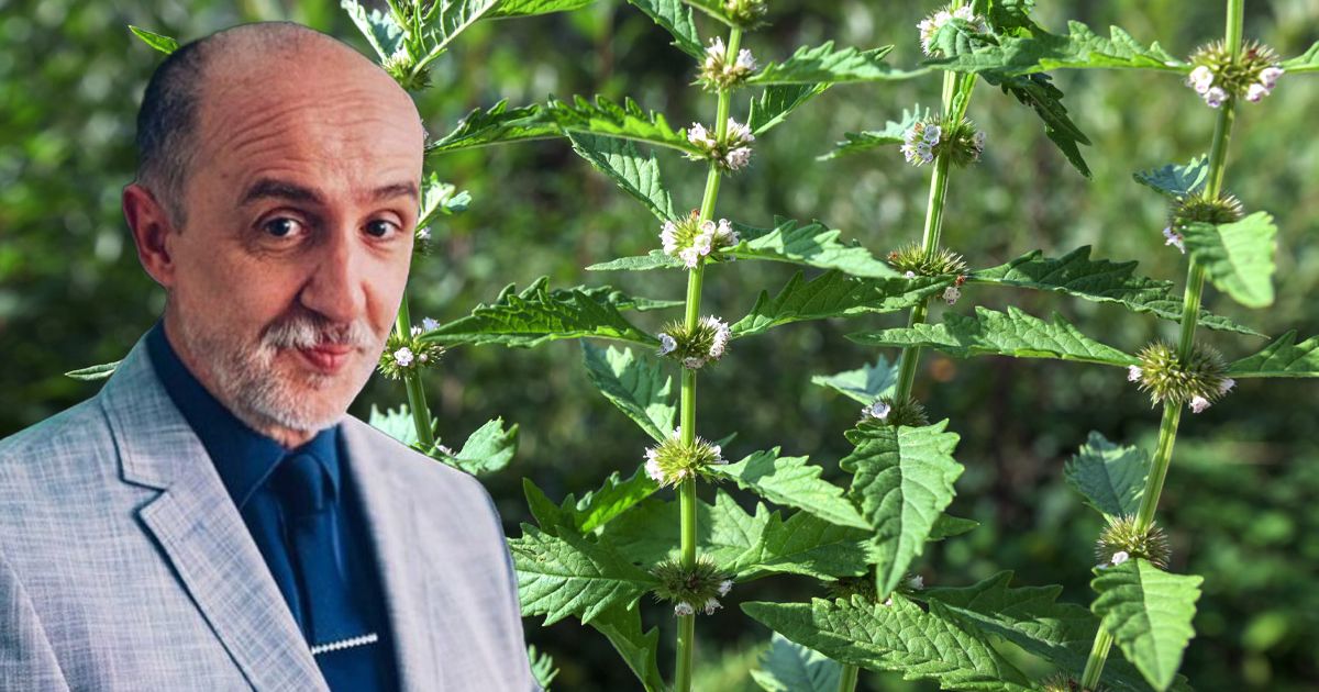 Štitna žlezda ne sadrži samo 2 hormona, njenu pojačanu ili smanjenu ...
